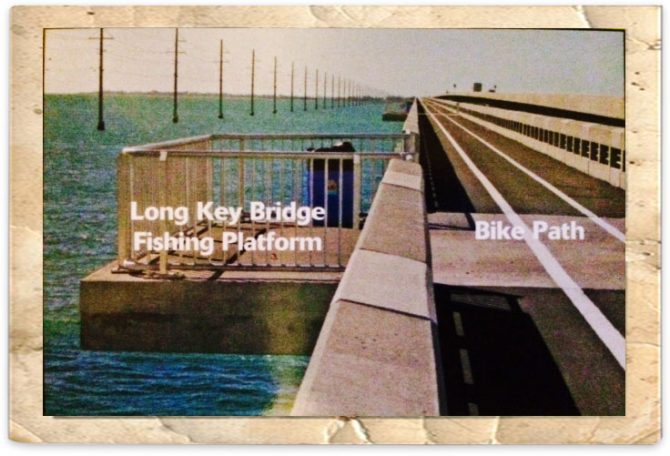 Florida Keys Bridge Fishing Information - Bud n' Mary's Islamorada ...